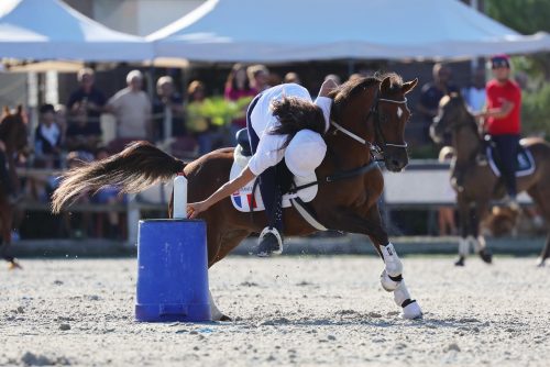 MGA Races - IMGA International Mounted Games Association