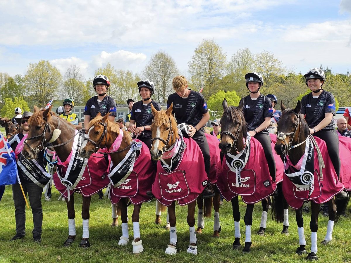 FIND OUT MORE - IMGA International Mounted Games Association