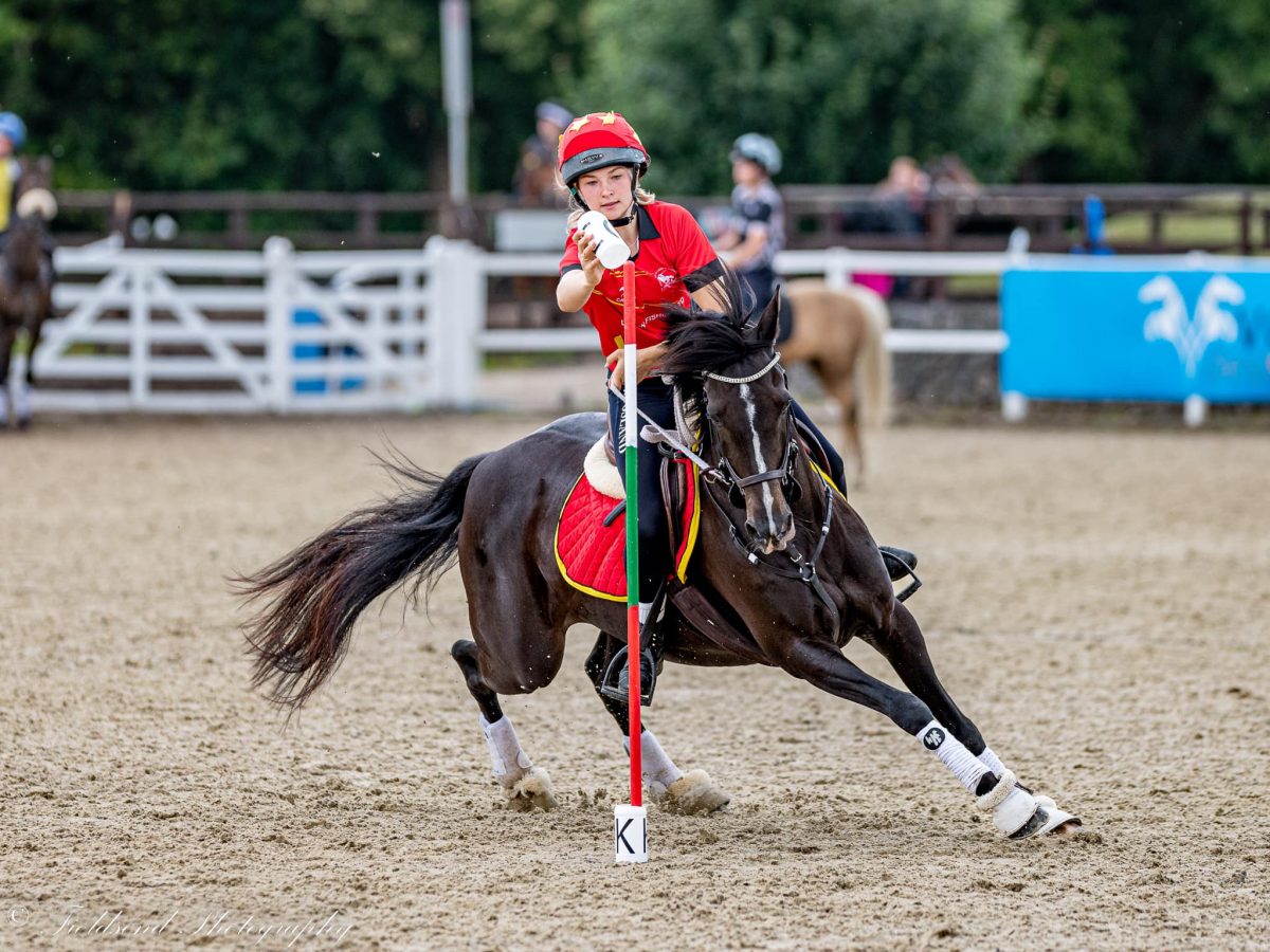 IMGA COMPETITIONS 2026 GAMES LIST - IMGA International Mounted Games ...